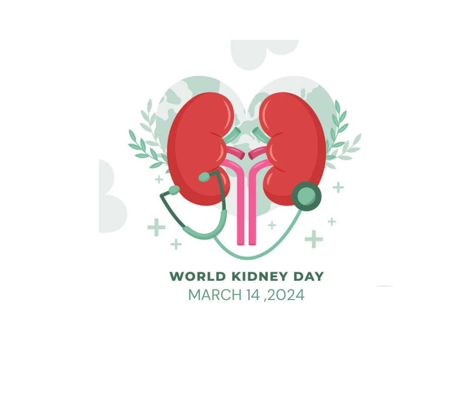 WORLD KIDNEY DAY 2024 - Dr.Ansar Health Blog